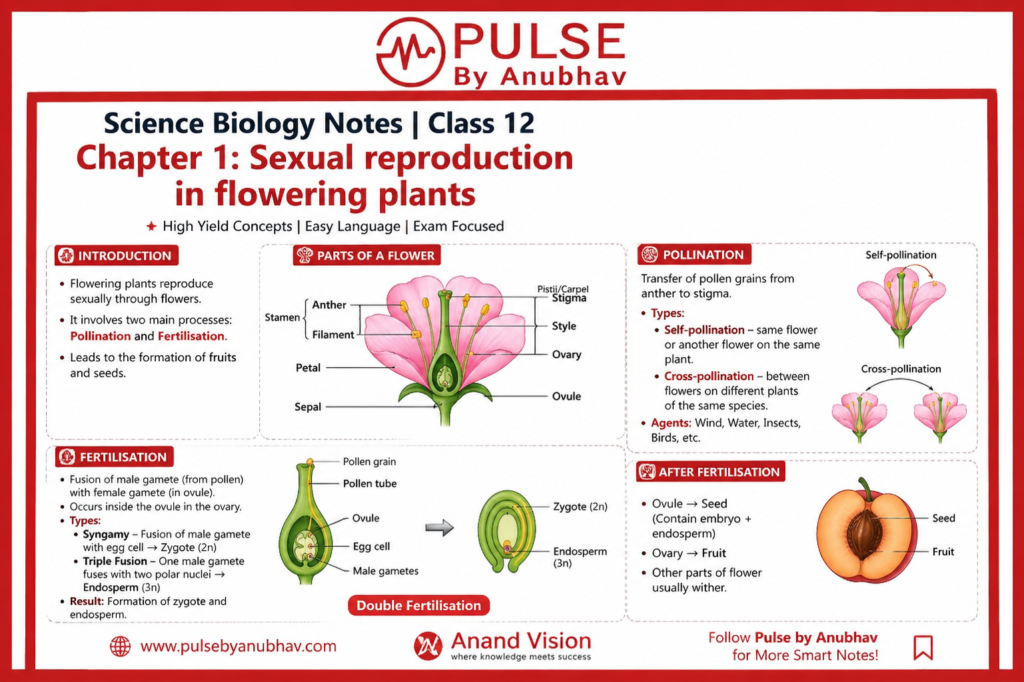 Science Biology Notes | Class 12 – Chapter 1: Sexual reproduction in ...