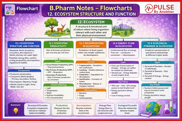 Science Biology Notes | Class 12 – Chapter 12: Ecosystem - Pulse By Anubhav
